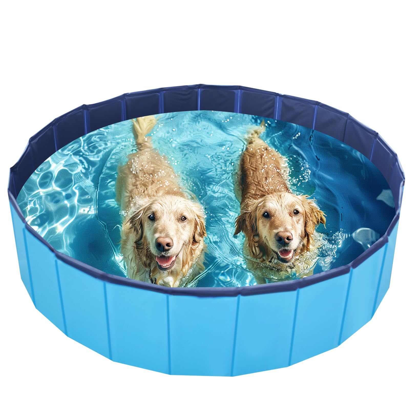 Snapklik.com : Neween Foldable Dog Pool, Collapsible Hard Plastic Dog ...
