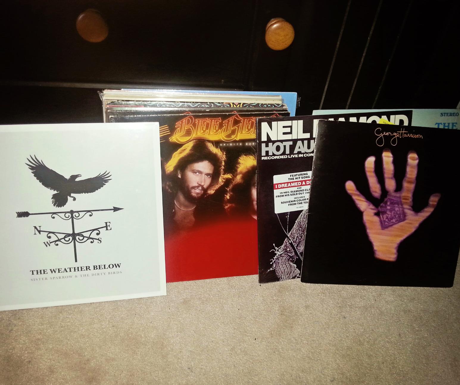 Amazon.com: The Weather Below: CDs & Vinyl