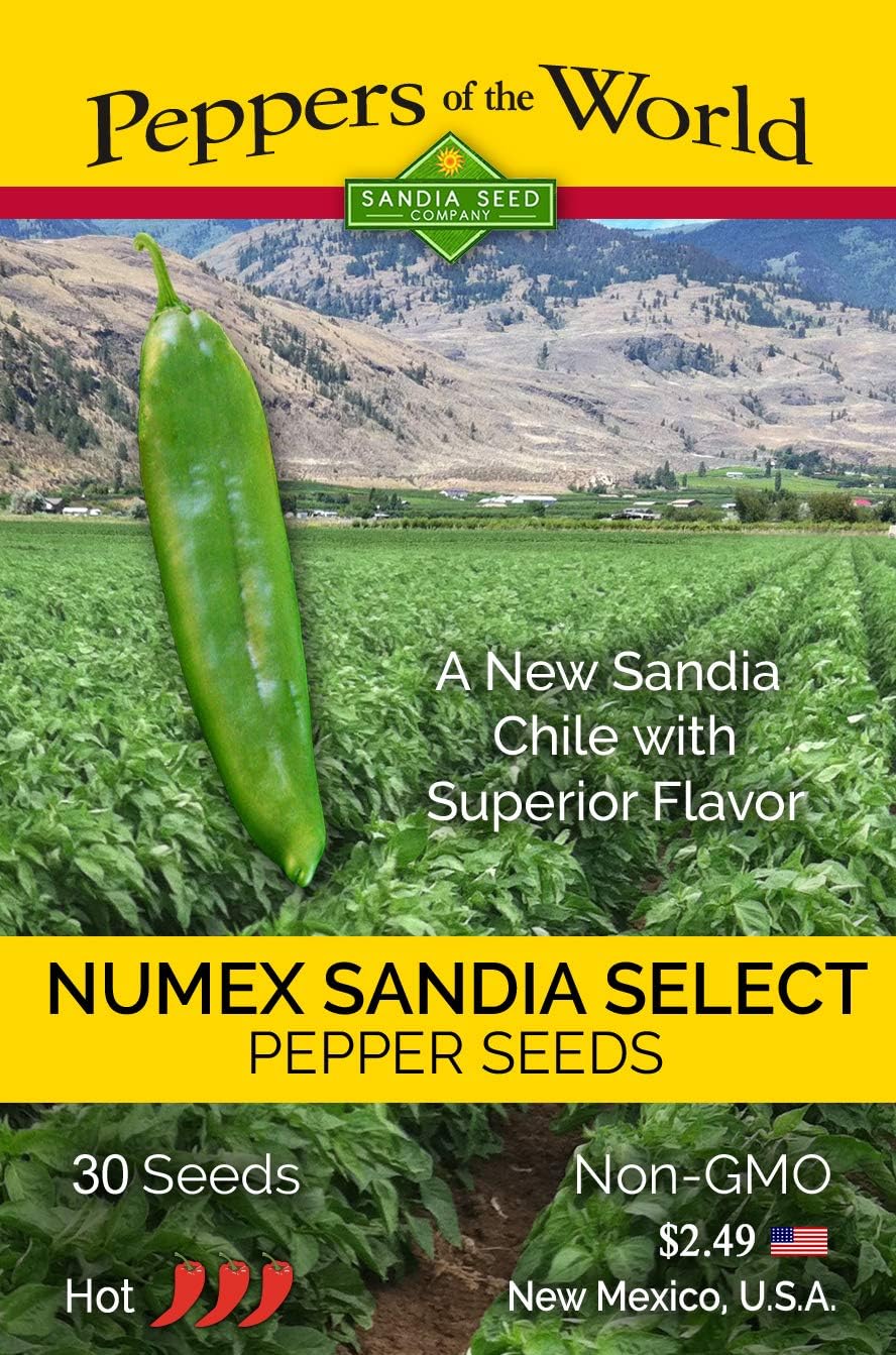 Amazon.com : Sandia Select NuMex Pepper Seeds - Green Chile with Superb ...