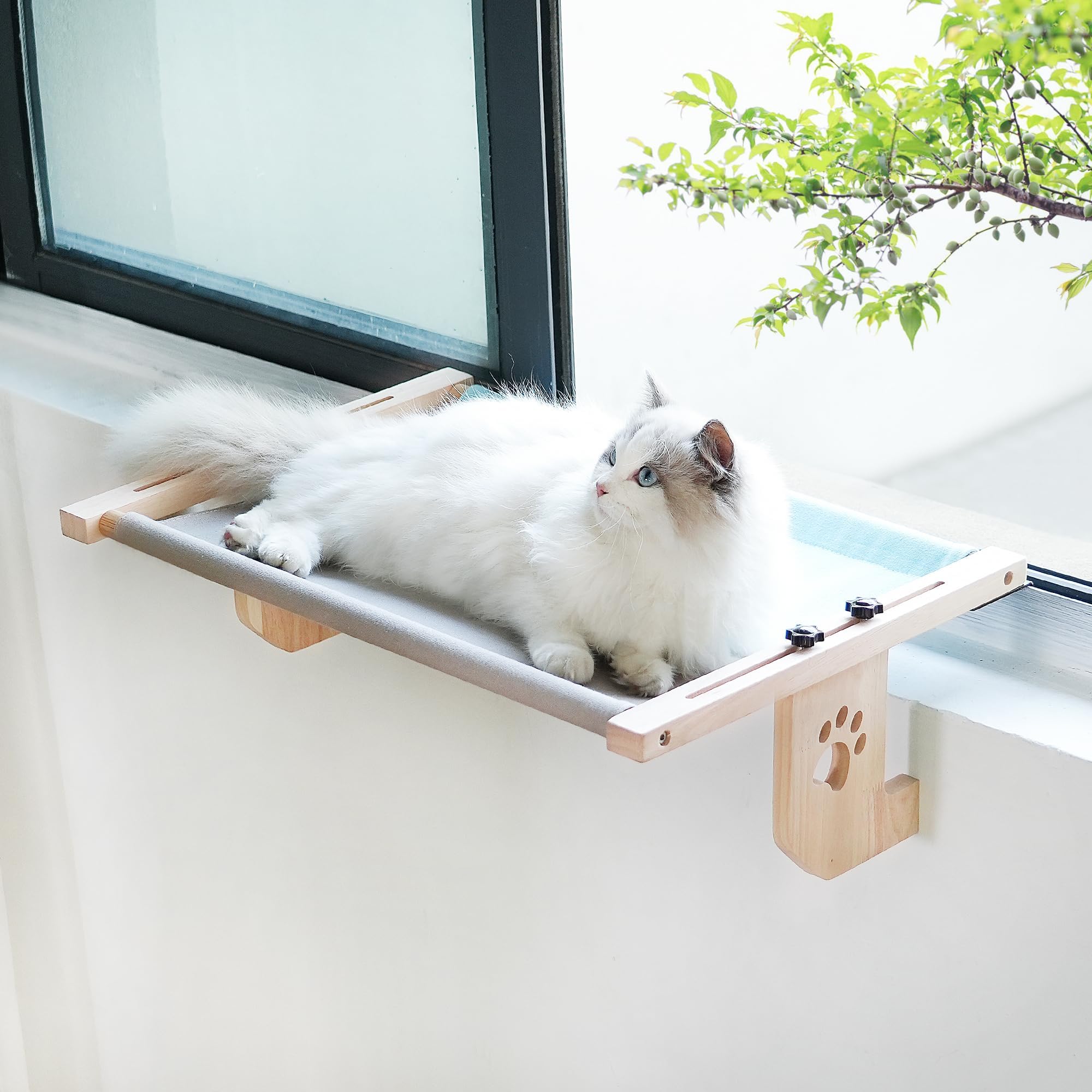 Amazon.com : Doemtio Cat Window Perch with 2 Covers Sturdy Solid Wood ...