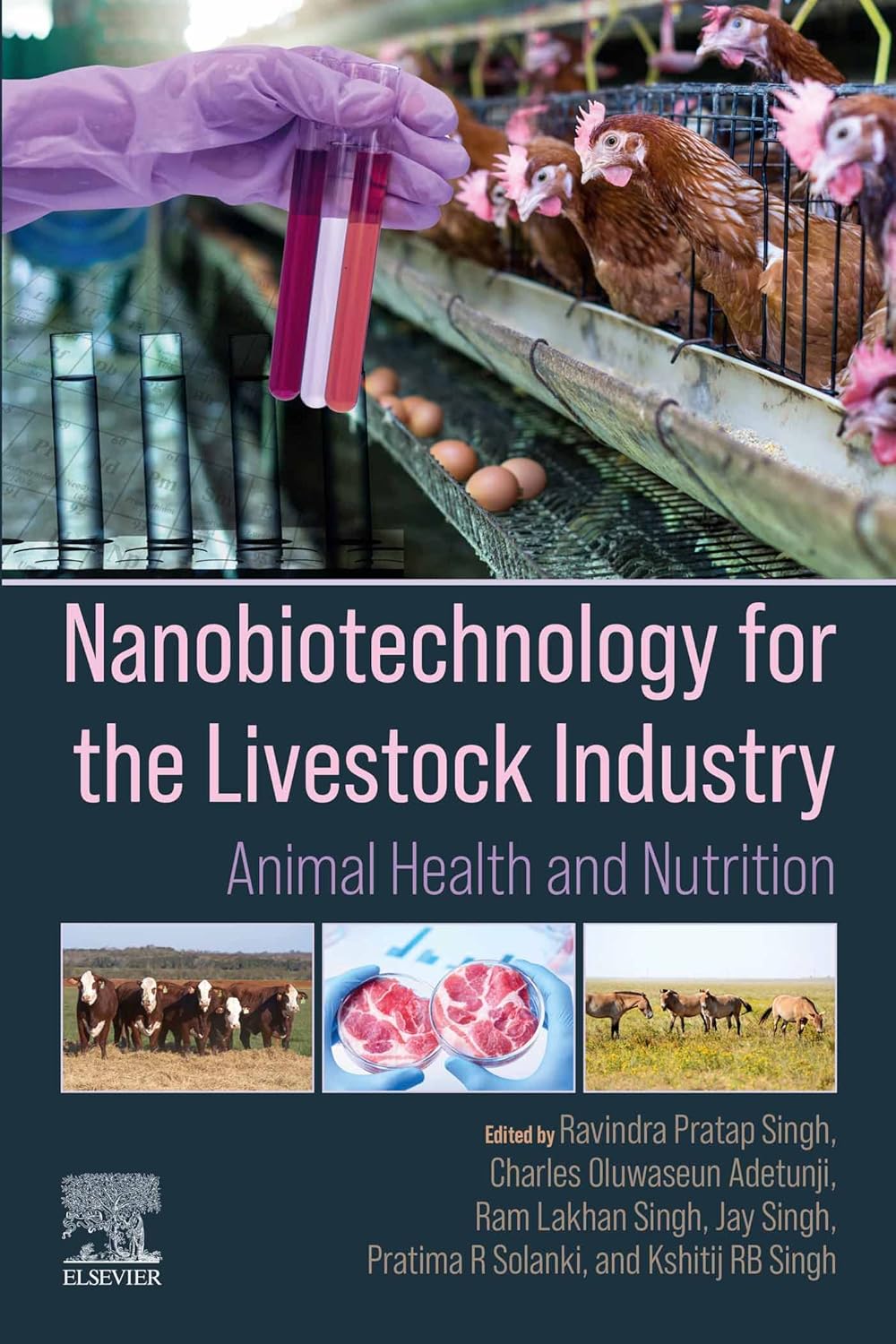 Nanobiotechnology for the Livestock Industry: Animal Health and ...