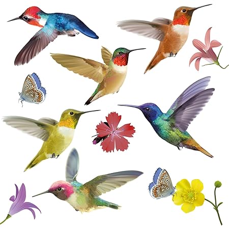 Amazon.com: 6 Pieces Large Size Hummingbird Window Clings Anti ...