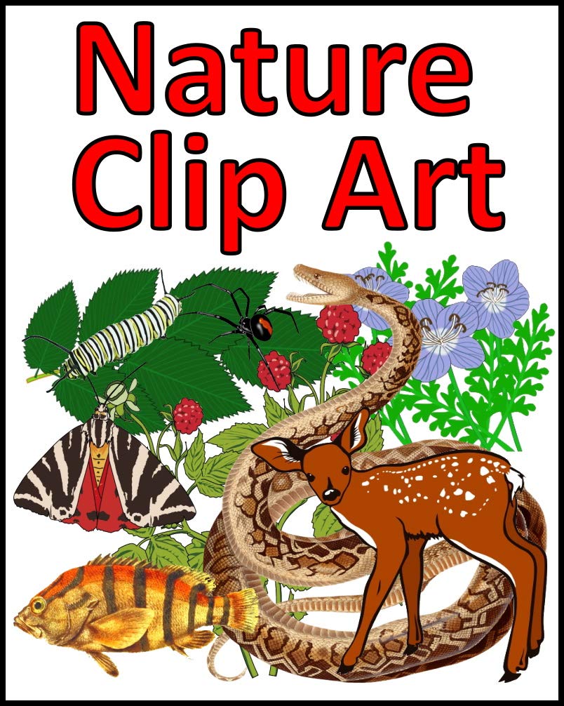 Amazon.com: Nature Clip Art eBook : Bucaro, Stephen: Kindle Store