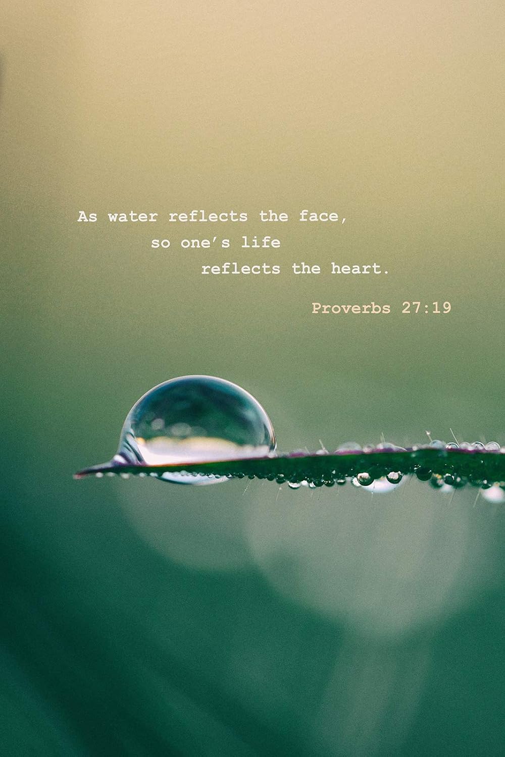 Amazon.com: Textured Paper - Bible Verse - Proverbs 27:19 - Water ...
