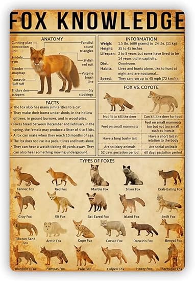 Amazon.com: Fox Knowledge Vintage Metal Sign Types Of Foxes Home Wall ...
