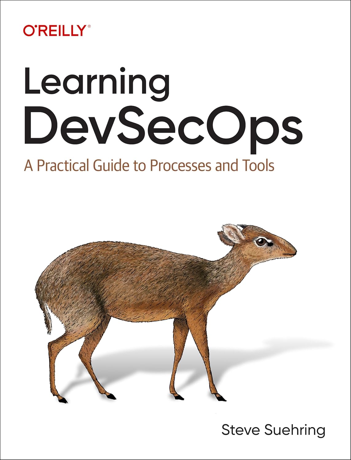 Learning DevSecOps: A Practical Guide to Processes and Tools: Amazon.co ...
