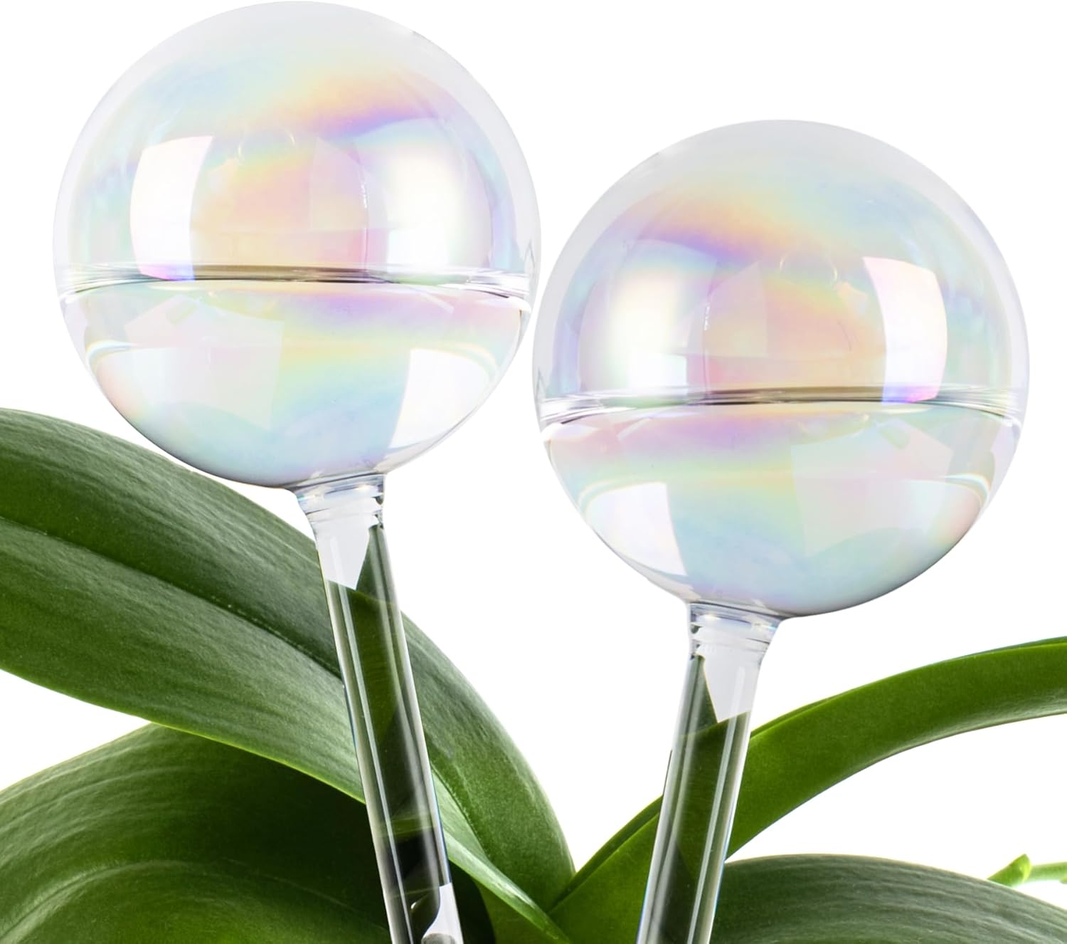Amazon.com: Twinkle Star 2PCS Plant Self Watering Globes, Rainbow Glass ...