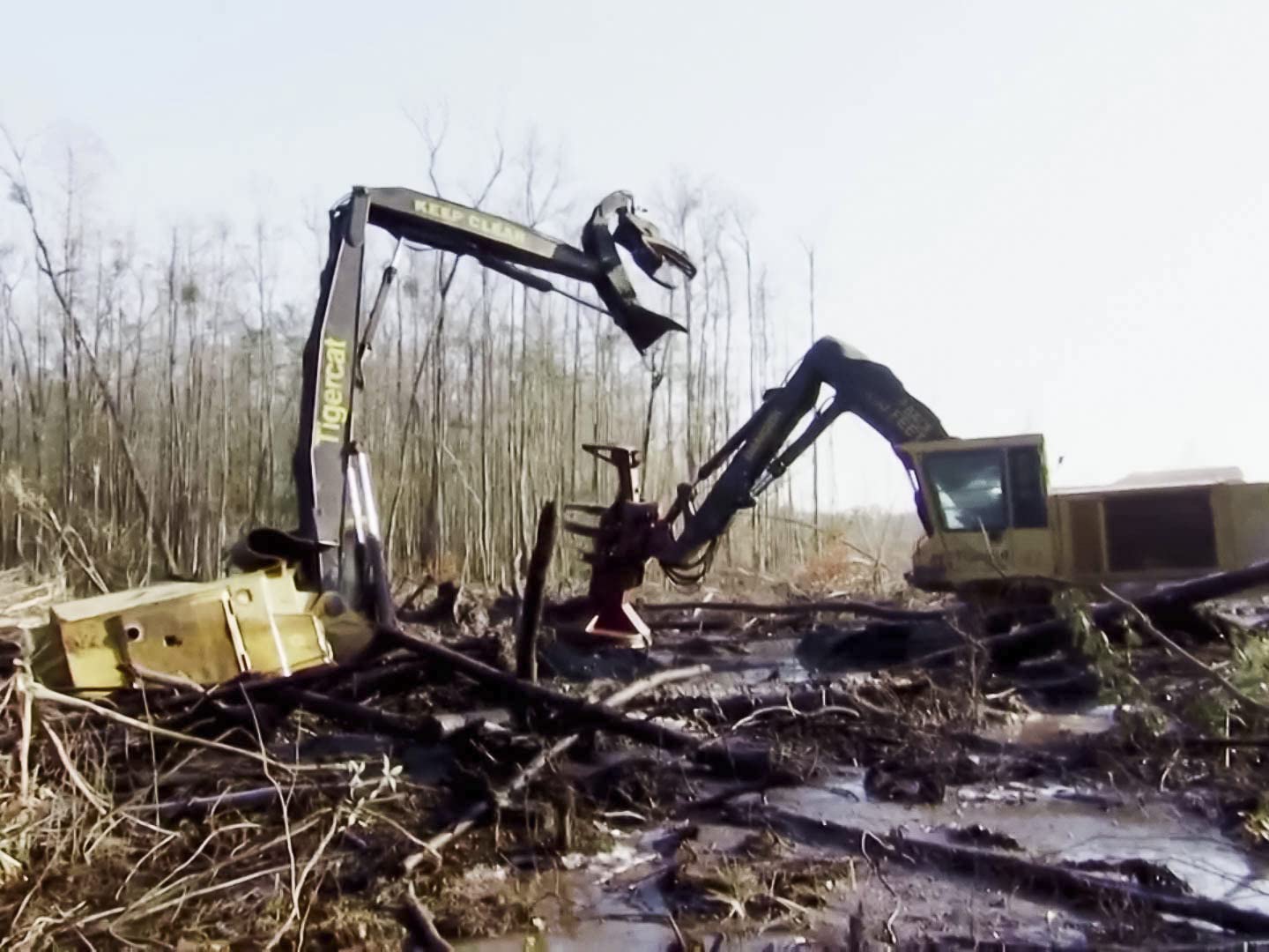 Watch Swamp Loggers - Season 1 | Prime Video