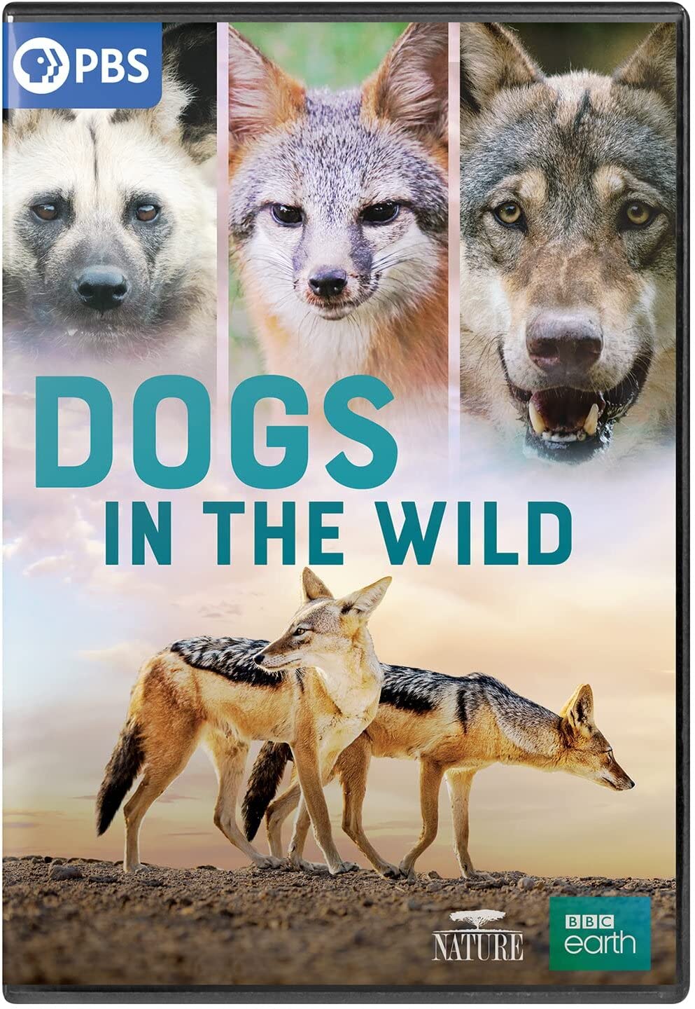 Amazon.com: Nature: Dogs in the Wild : Movies & TV