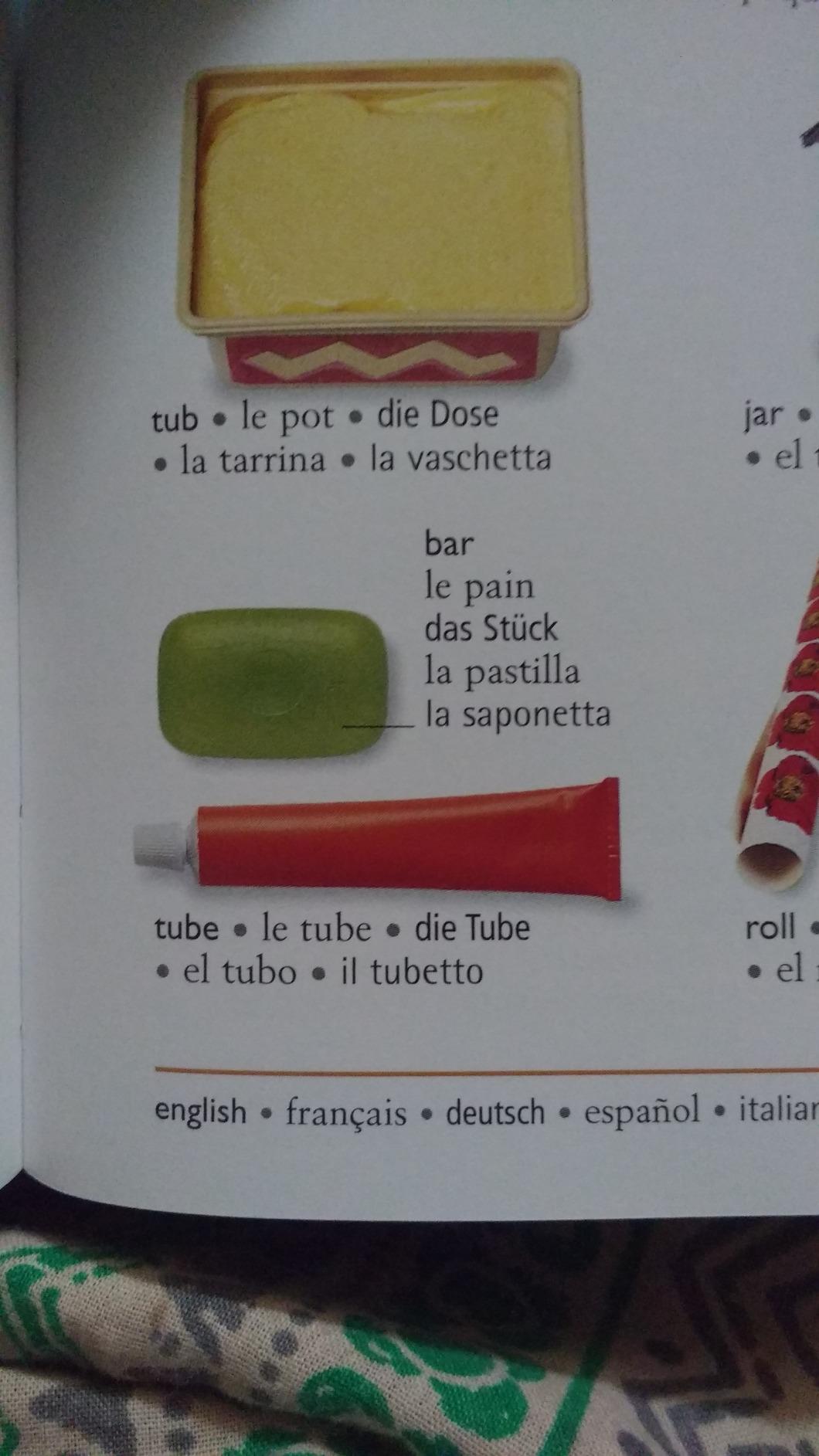 5 Language Visual Dictionary: English, French, German, Spanish, Italian ...