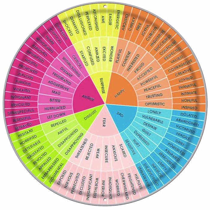 Buy Dreacoss Round Metal Tin Sign Social Work Feelings Poster, Wheel of ...