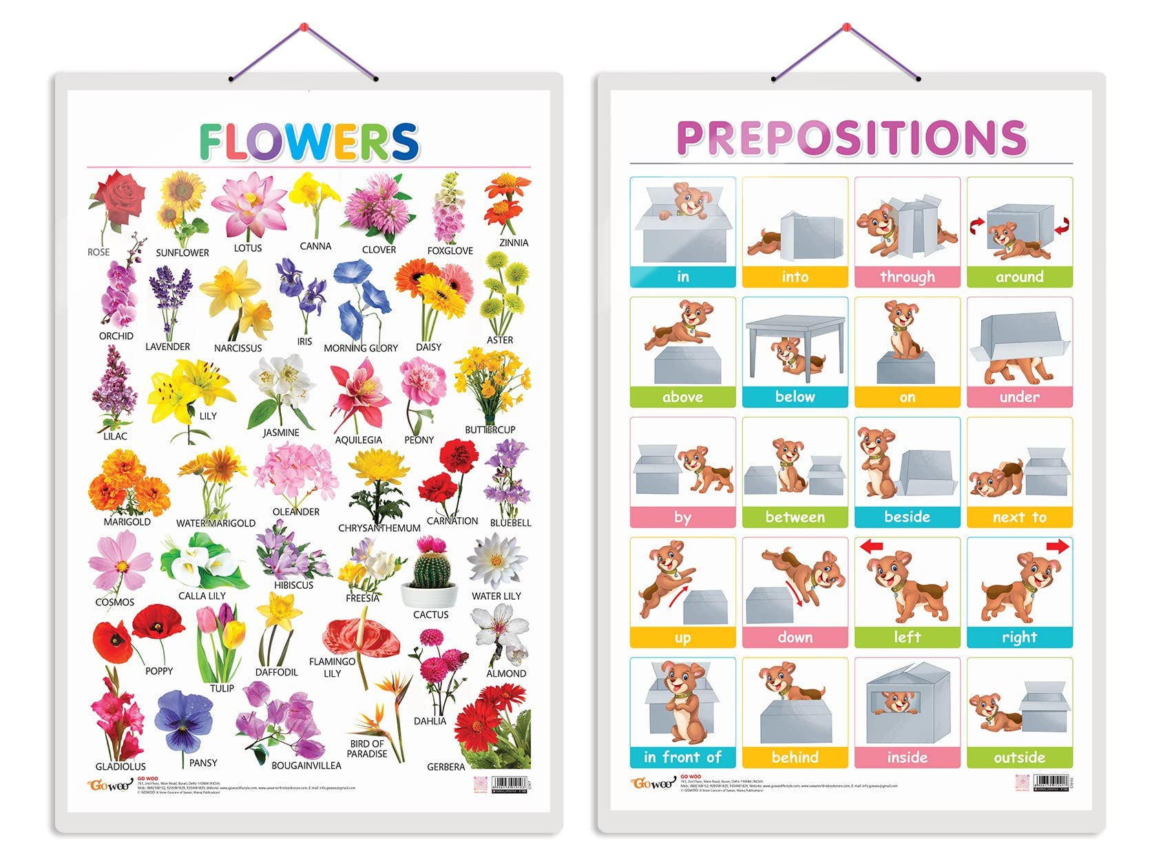 Set of 2 Flowers and PREPOSITIONS Early Learning Educational Charts for ...