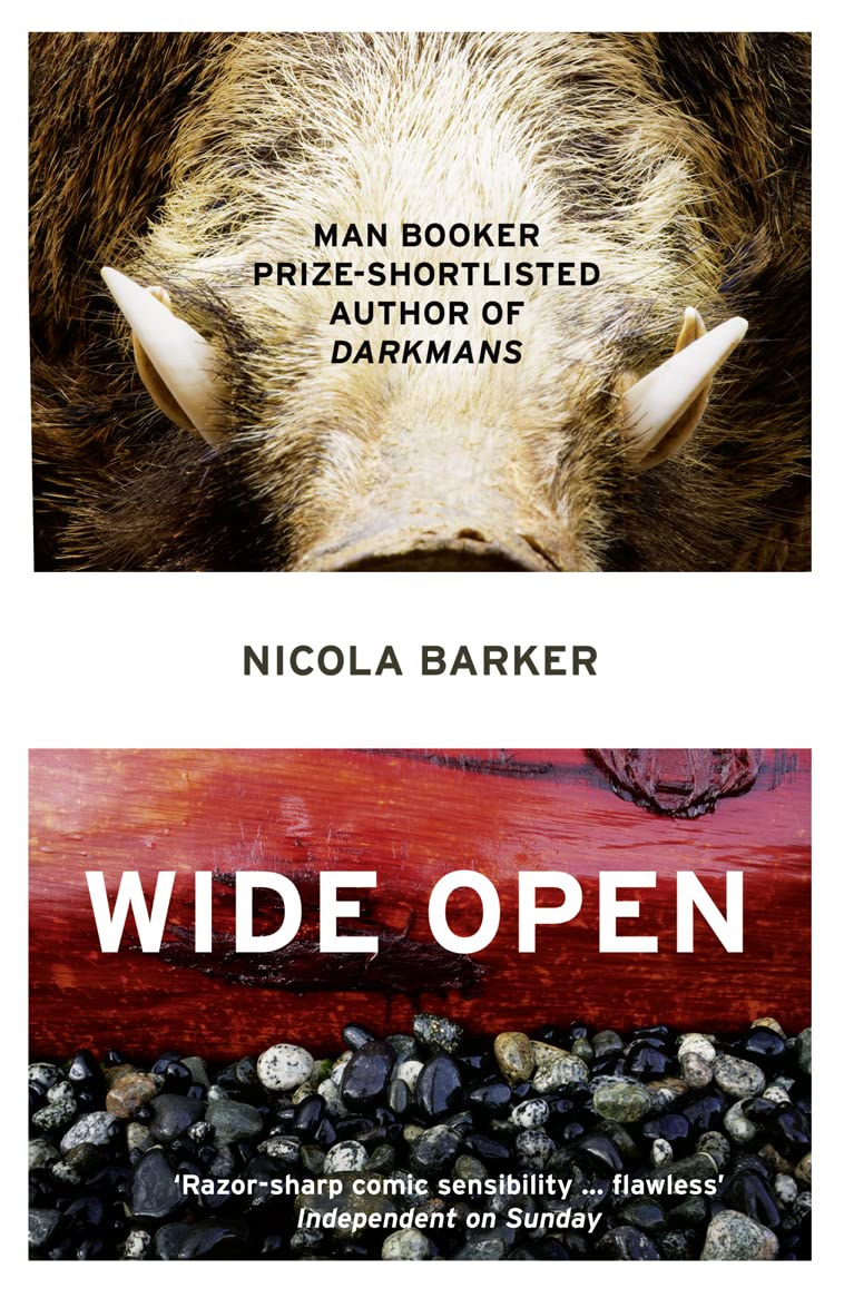 Wide Open: Nicola Barker: 9780007435722: Amazon.com: Books