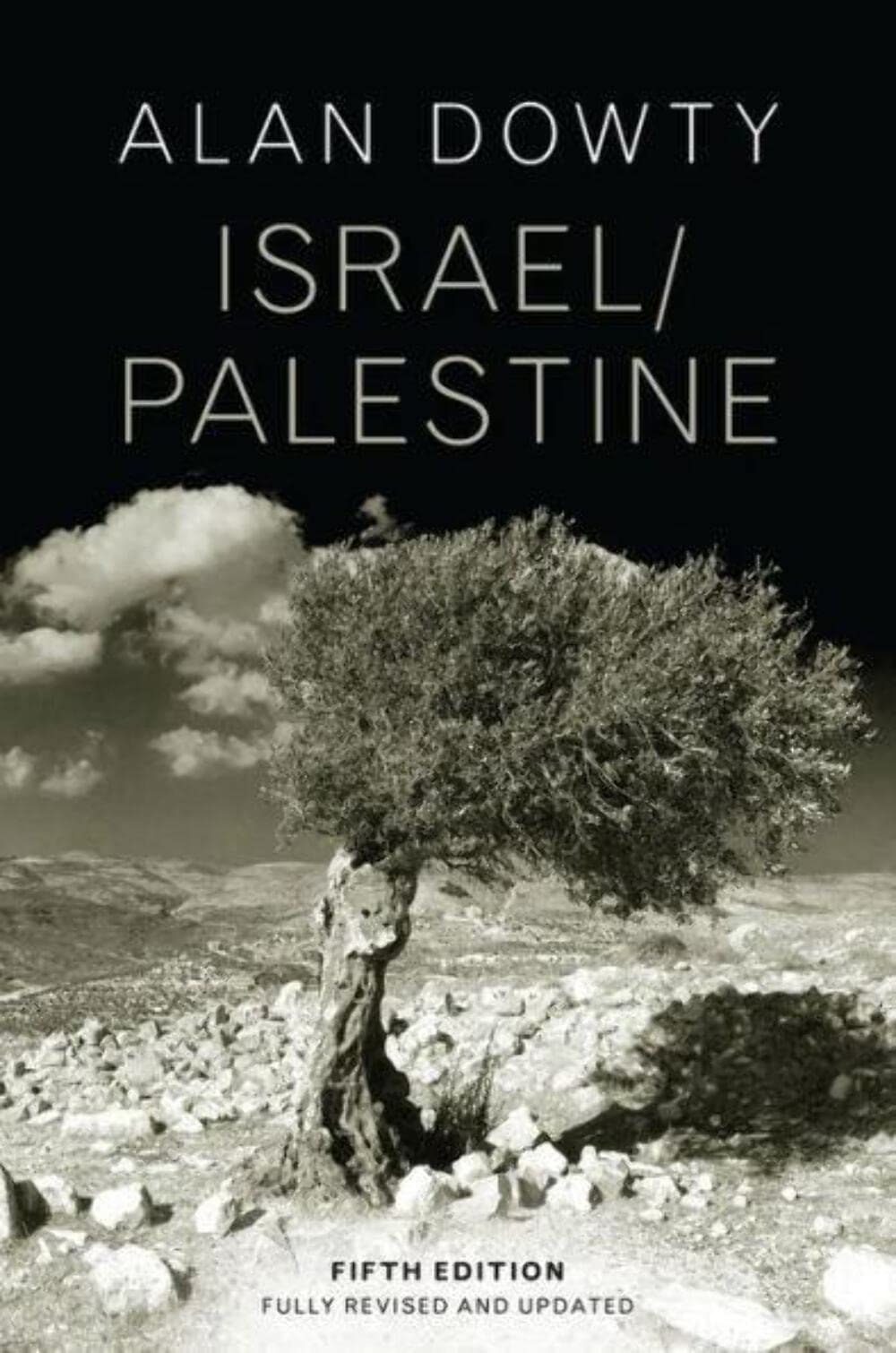 Israel / Palestine (The Hot Spots in Global Politics): Dowty, Alan ...