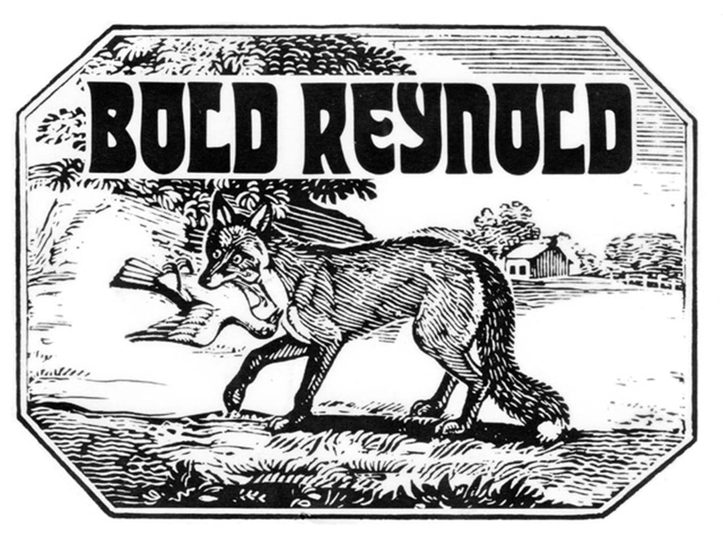 Carroll, David & Friends - Bold Reynold - Amazon.com Music