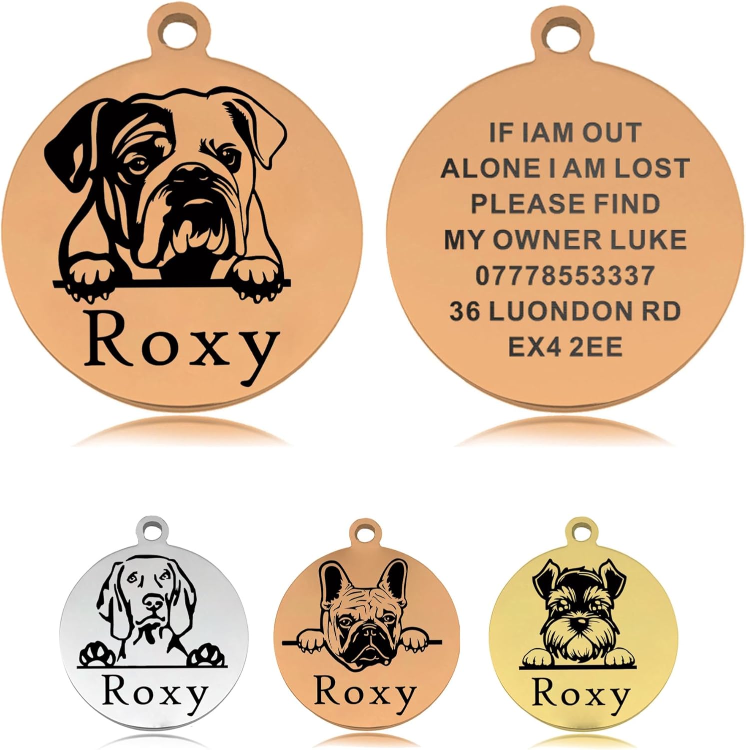 Amazon.com: Dog Tags Personalized for Pets Dog Name Tags Personalized ...
