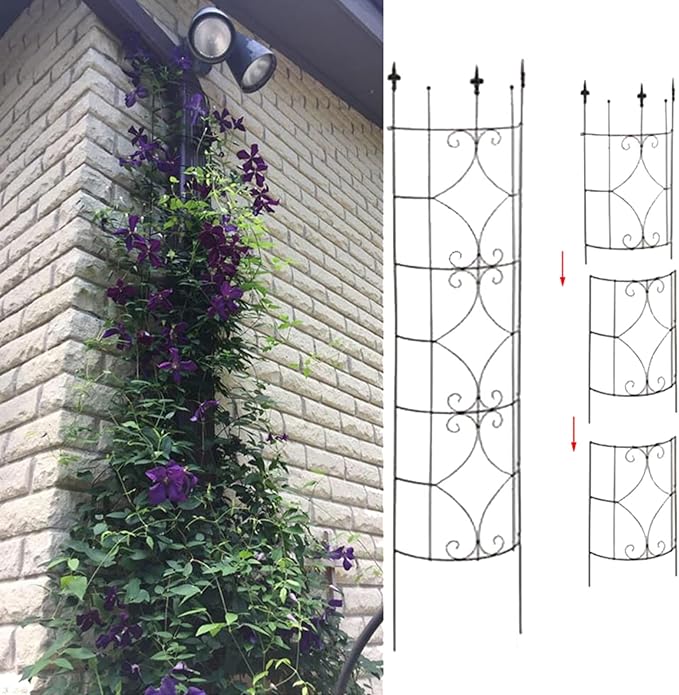 HZSCL Metallspaliere, Ranken, Pflanzenstütze, Halbrunde Pergola ...