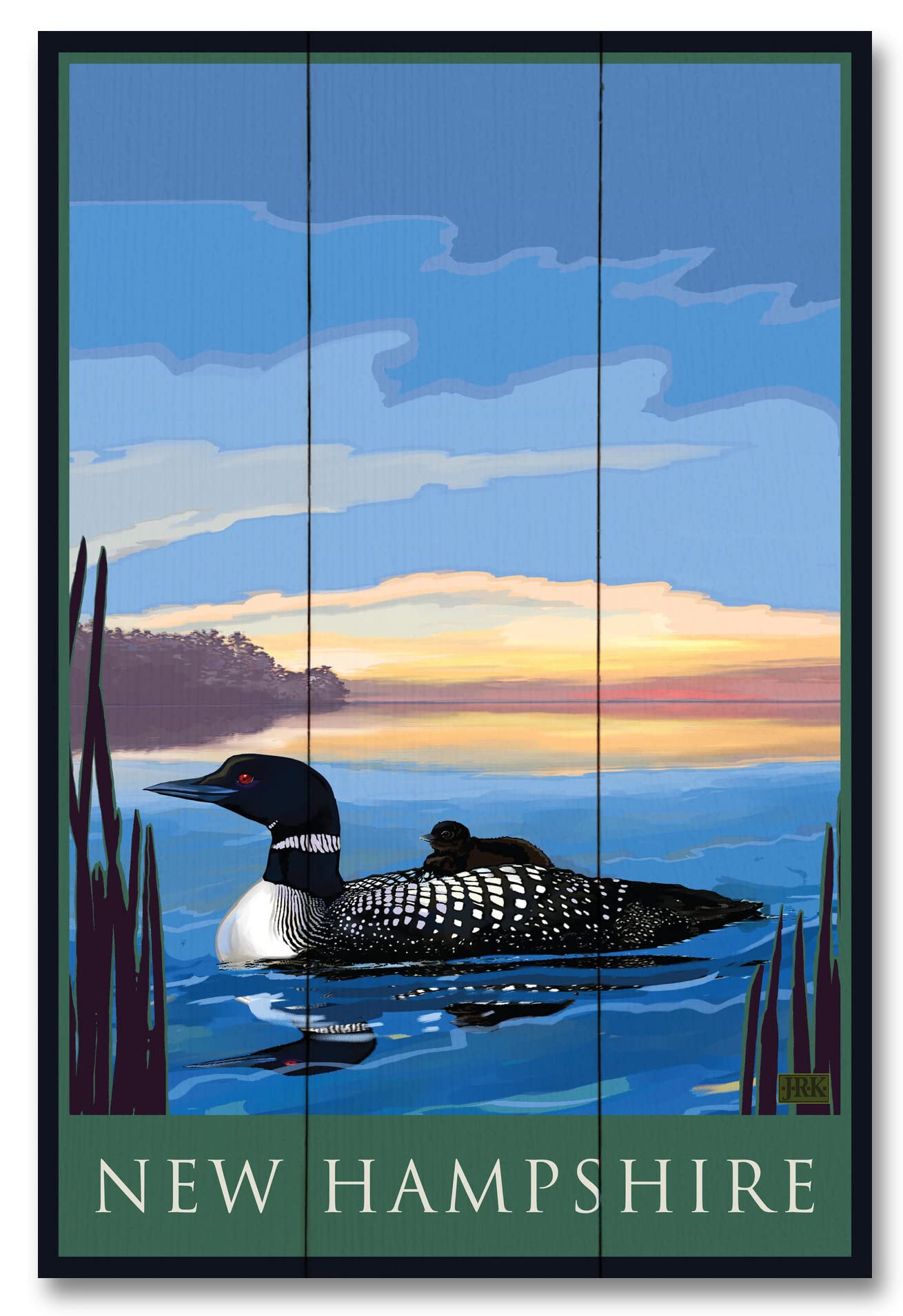 Loon Art Loons With Green Hats By Artist Scott Church Loon