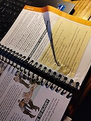 Amazon.com: Scouts BSA Handbook, 14th Edition - Boys (Official ...