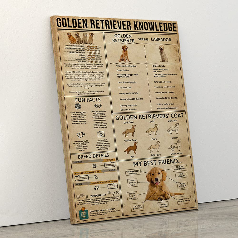 Buy Golden Retriever Dog Knowledge Canvas Wall Art, Golden Retriever ...