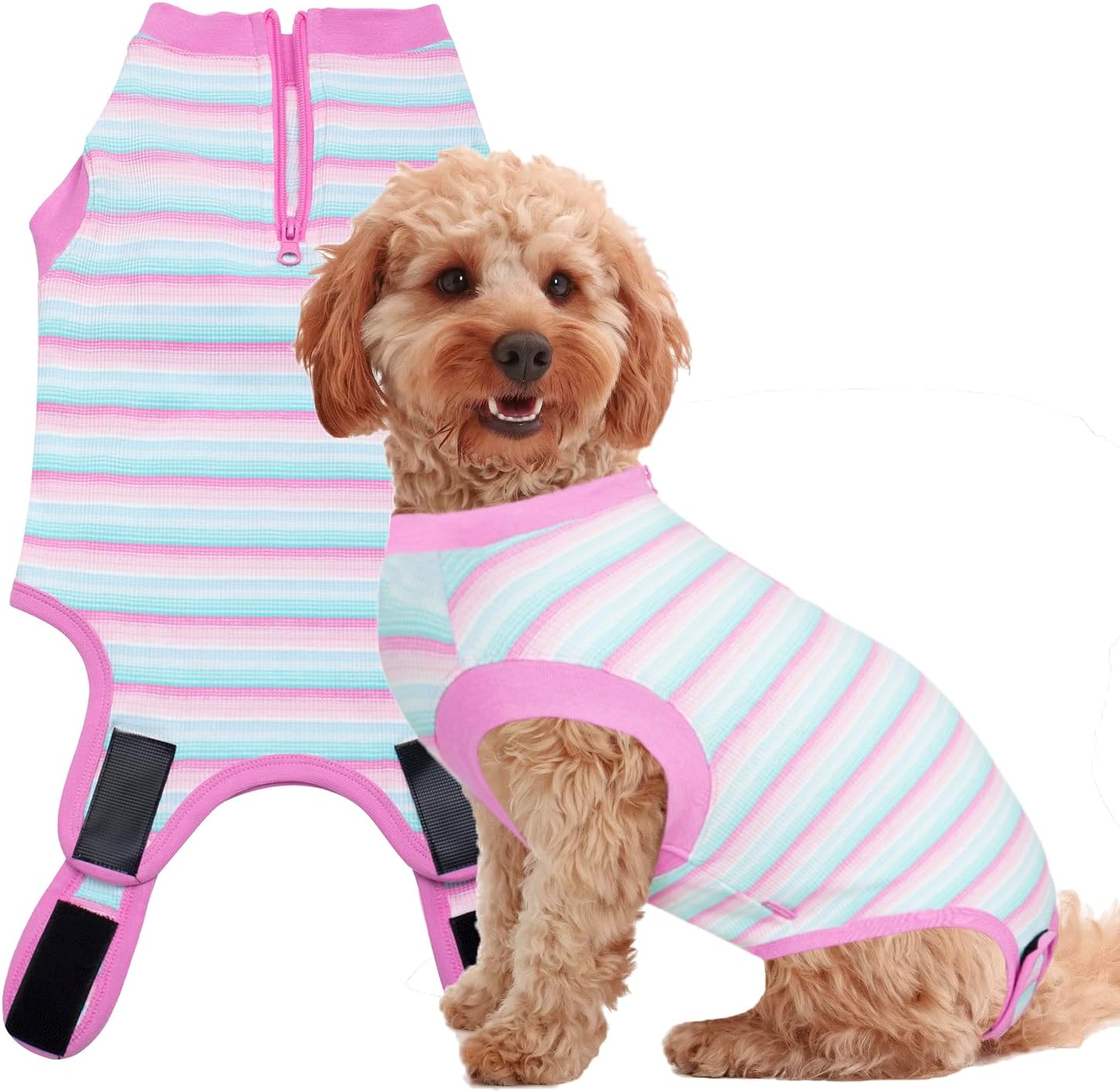 Amazon.com: Wabdhally Dog Surgery Recovery Suit,Surgical Recovery ...