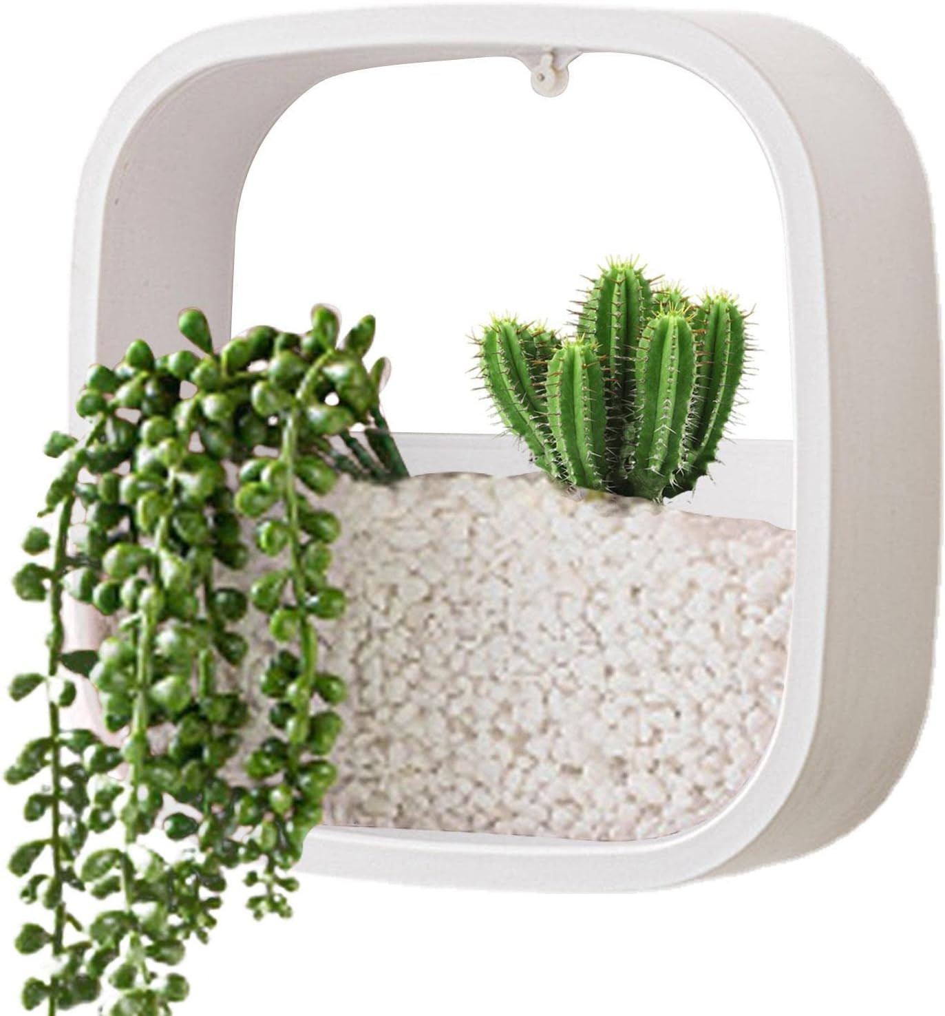 Stalf Wall Hanging Planter, Hanging Planters, Modern Wall Planter, Wall ...