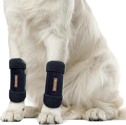 Amazon.com : MUKVIK Dog Front Leg Brace, 1 Pair Dog Canine Front Leg ...