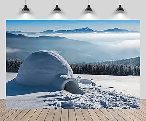Amazon.com : CHNYWORK 7x5ft Igloo Backdrop Winter Snowy Scenery Pine ...