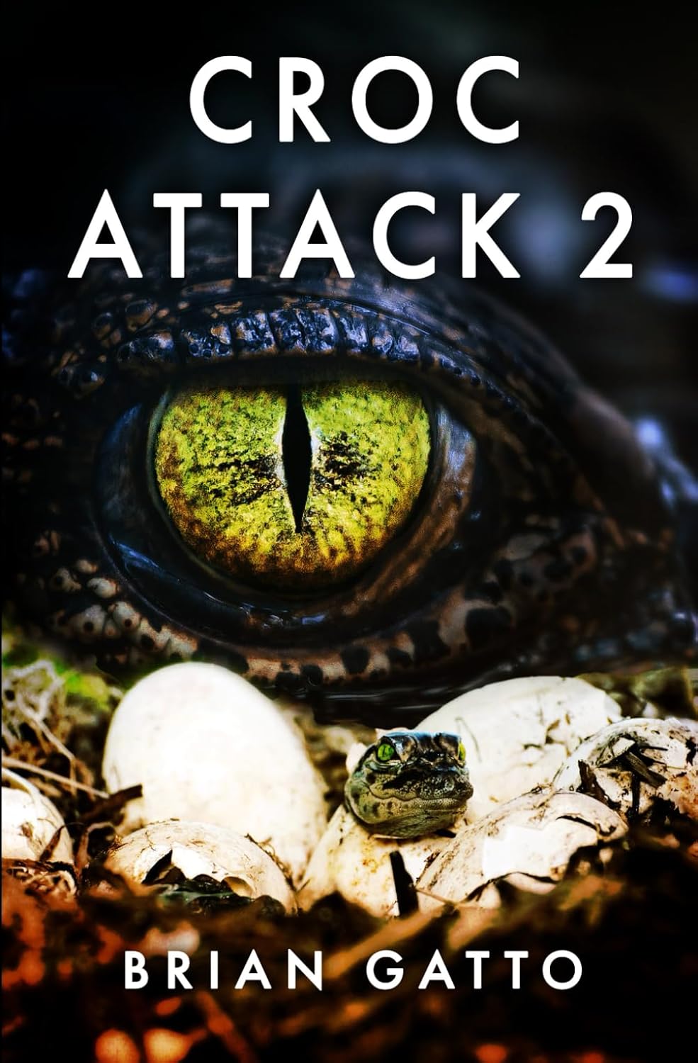 Croc Attack 2: Gatto, Brian: 9798321901953: Amazon.com: Books