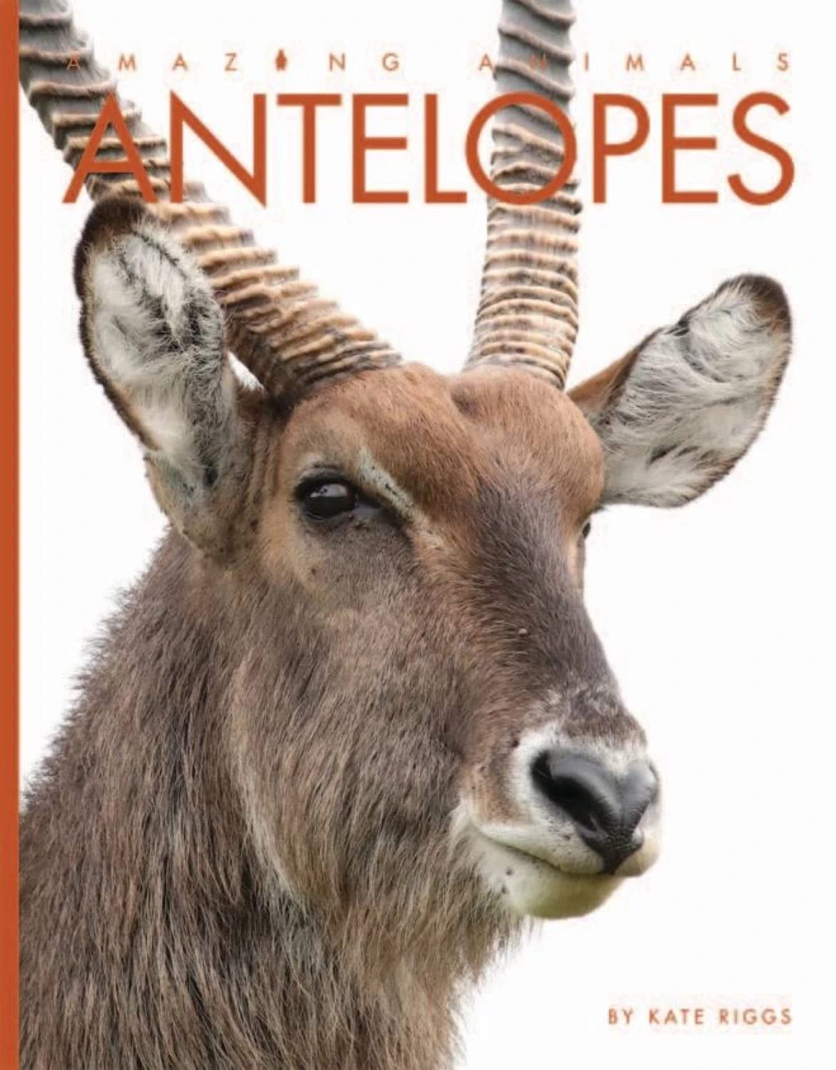 Antelopes (Amazing Animals): Riggs, Kate: 9781628322149: Amazon.com: Books