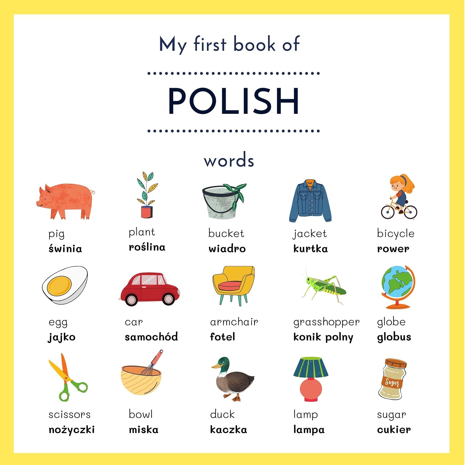 Amazon.com: My First Book Of Polish Words: My First Words in Polish ...