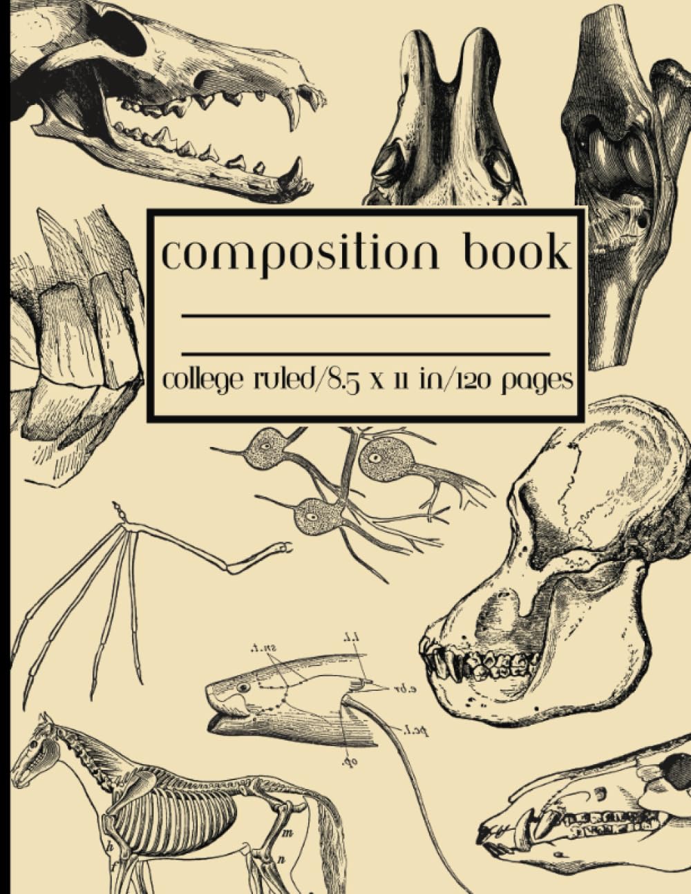 Vintage Animal Anatomy Veterinarian Composition Book: for Vet School ...