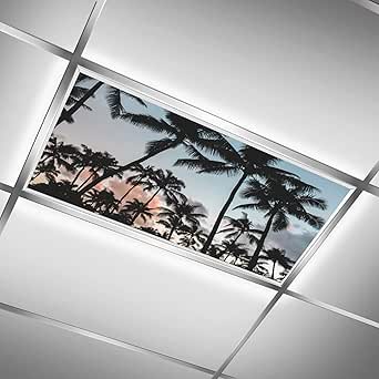 QWEUIOP 2ft x 4ft Fluorescent Light Covers for Classroom Office Light ...