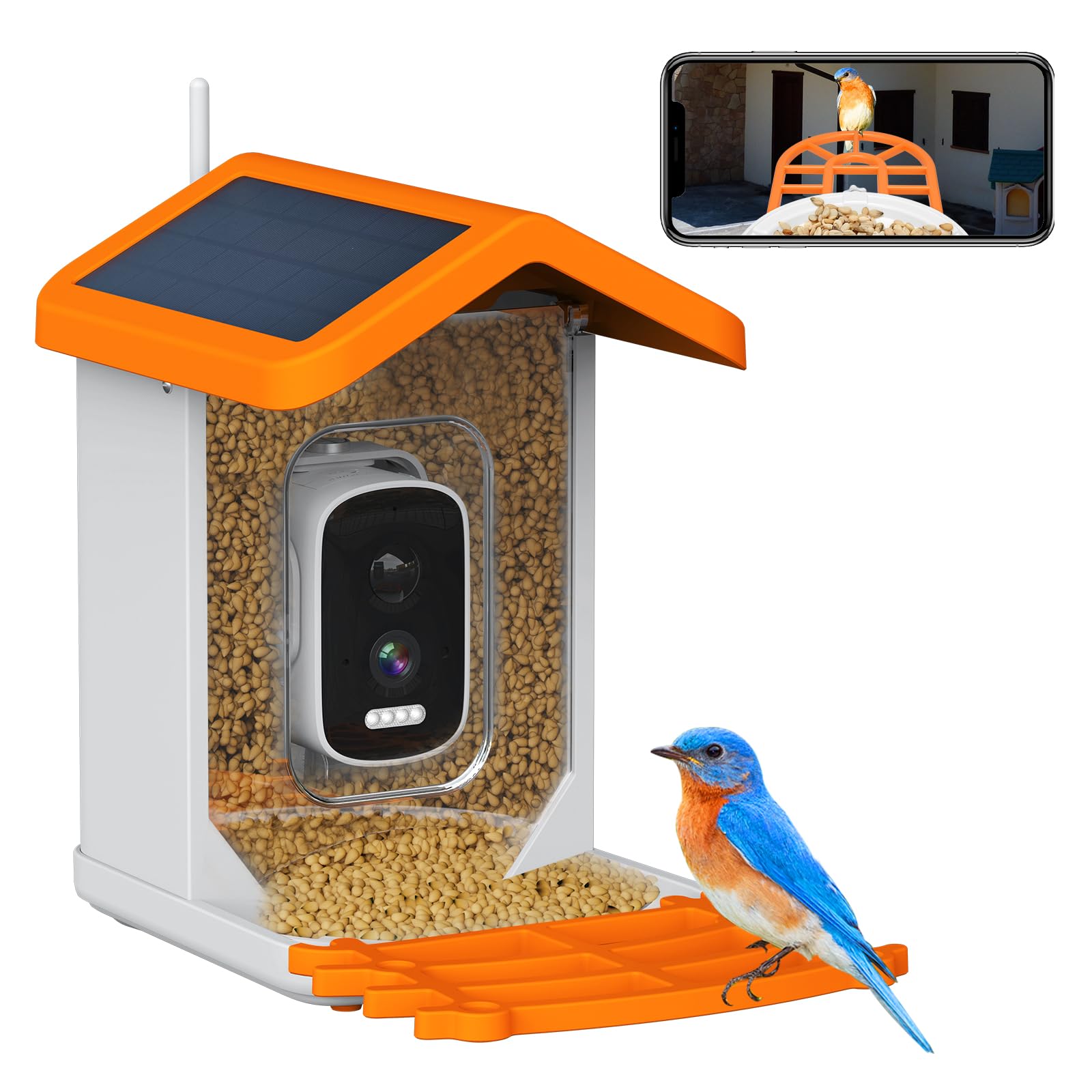 Amazon.com : Oneware Wild Bird Feeder Camera, Smart Motion Activated ...