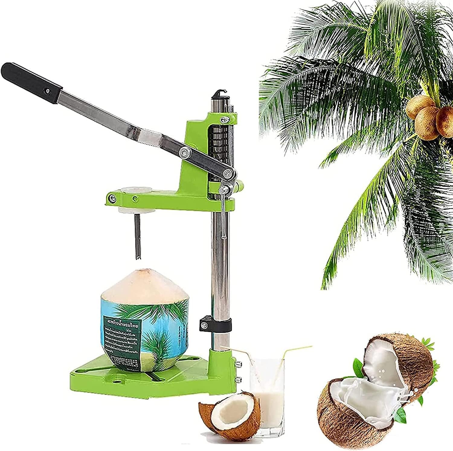 Amazon.com: Coconut shell opener Coconut Opener, Vertical Coconut ...