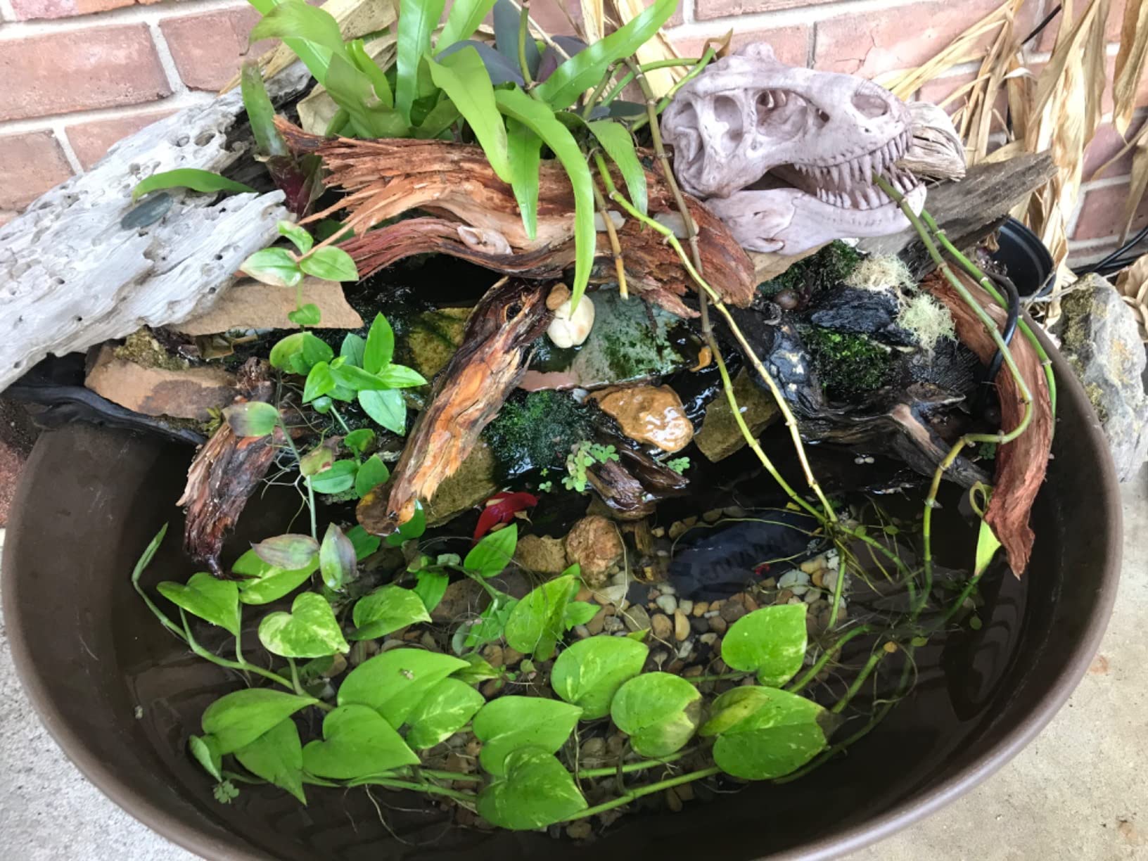 $23/mo - Finance Aquascape 78325 AquaGarden Pond and Waterfall Kit ...