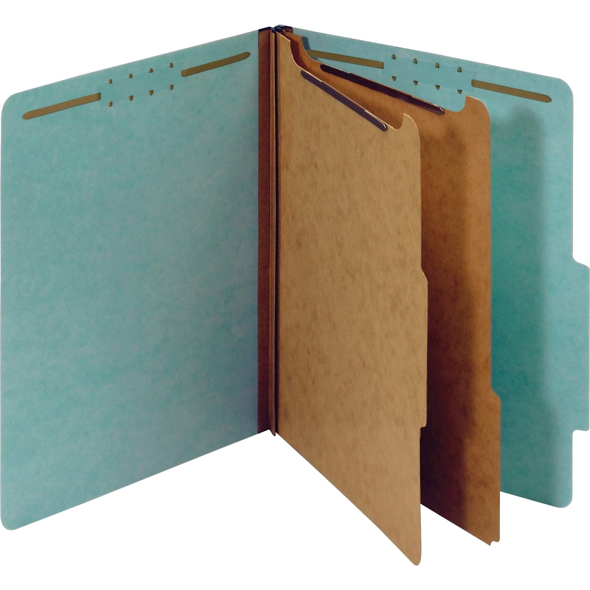 Snapklik.com : Pendaflex Recycled Classification File Folders, 2 ...
