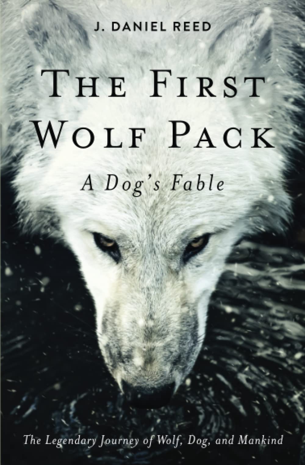 Amazon.com: The First Wolf Pack: A Dog's Fable: 9798985059205: Reed, J ...