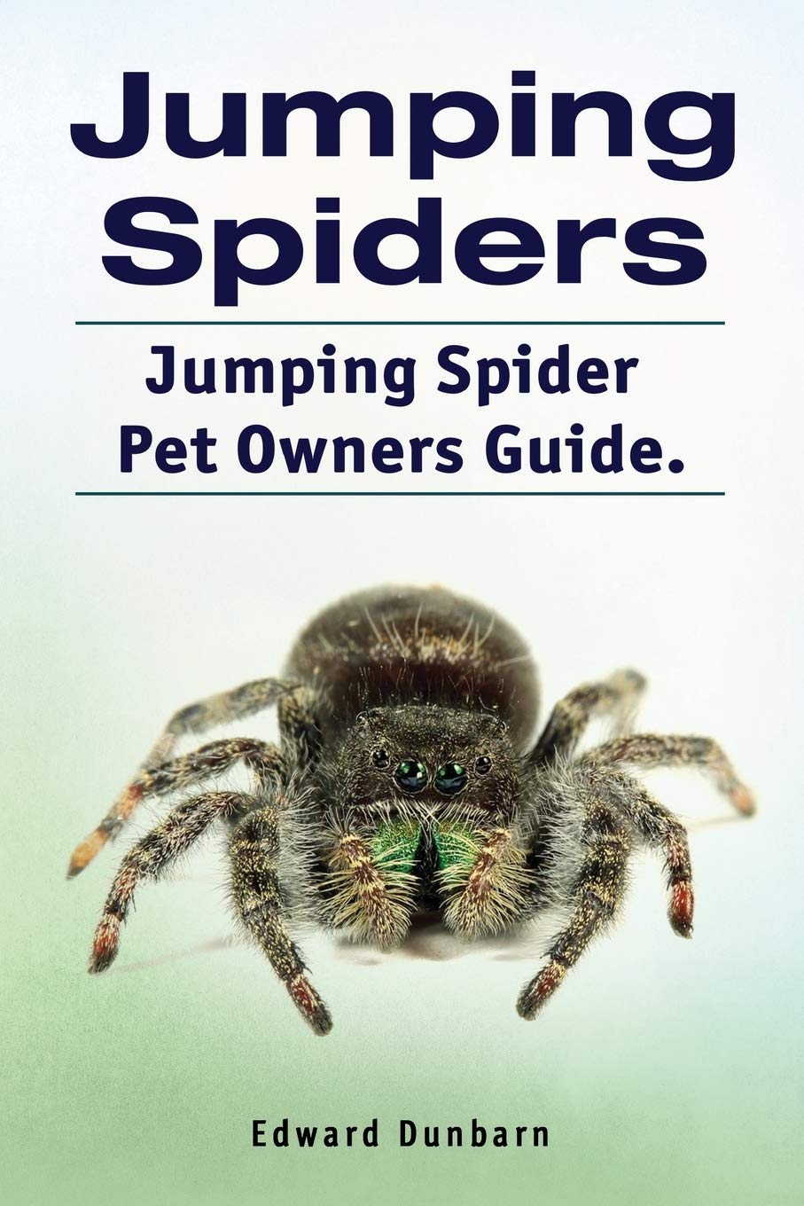Jumping Spiders. Jumping Spider Pet Owners Guide.: Dunbarn, Edward ...