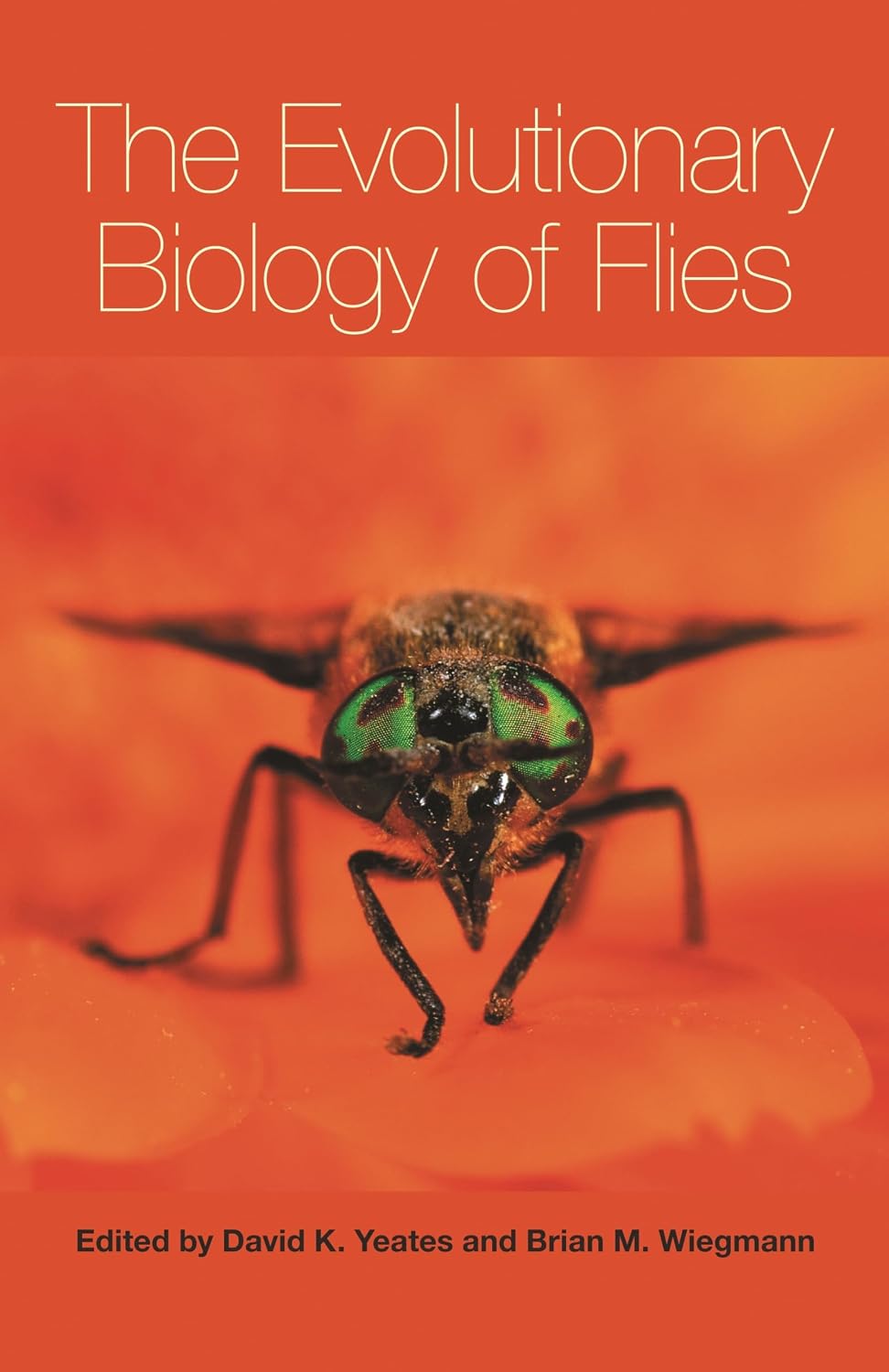 Amazon.com: The Evolutionary Biology of Flies: 9780231127004: Yeates ...