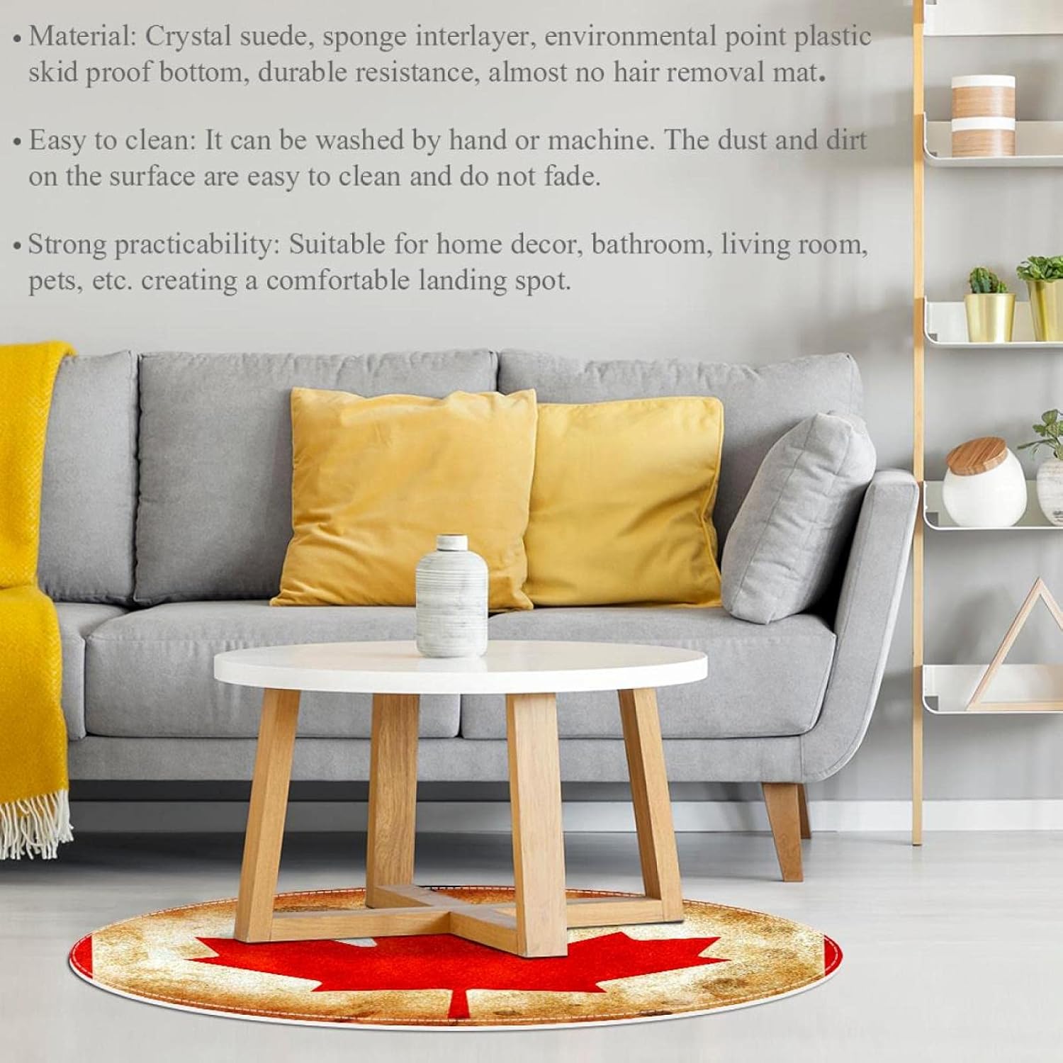 Machine Washable Round Area Rug Indoor Ultra Soft Bedroom Floor Sofa ...