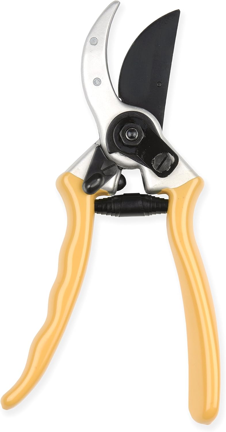Amazon.com : Leyat FRED MARVIN classic hand shear - 1" swiss : Hand ...