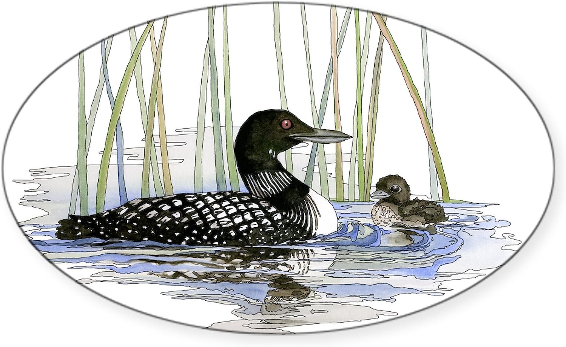 Amazon.com: Loon - Vinyl Decal Outdoor Weatherproof - Select Size ...