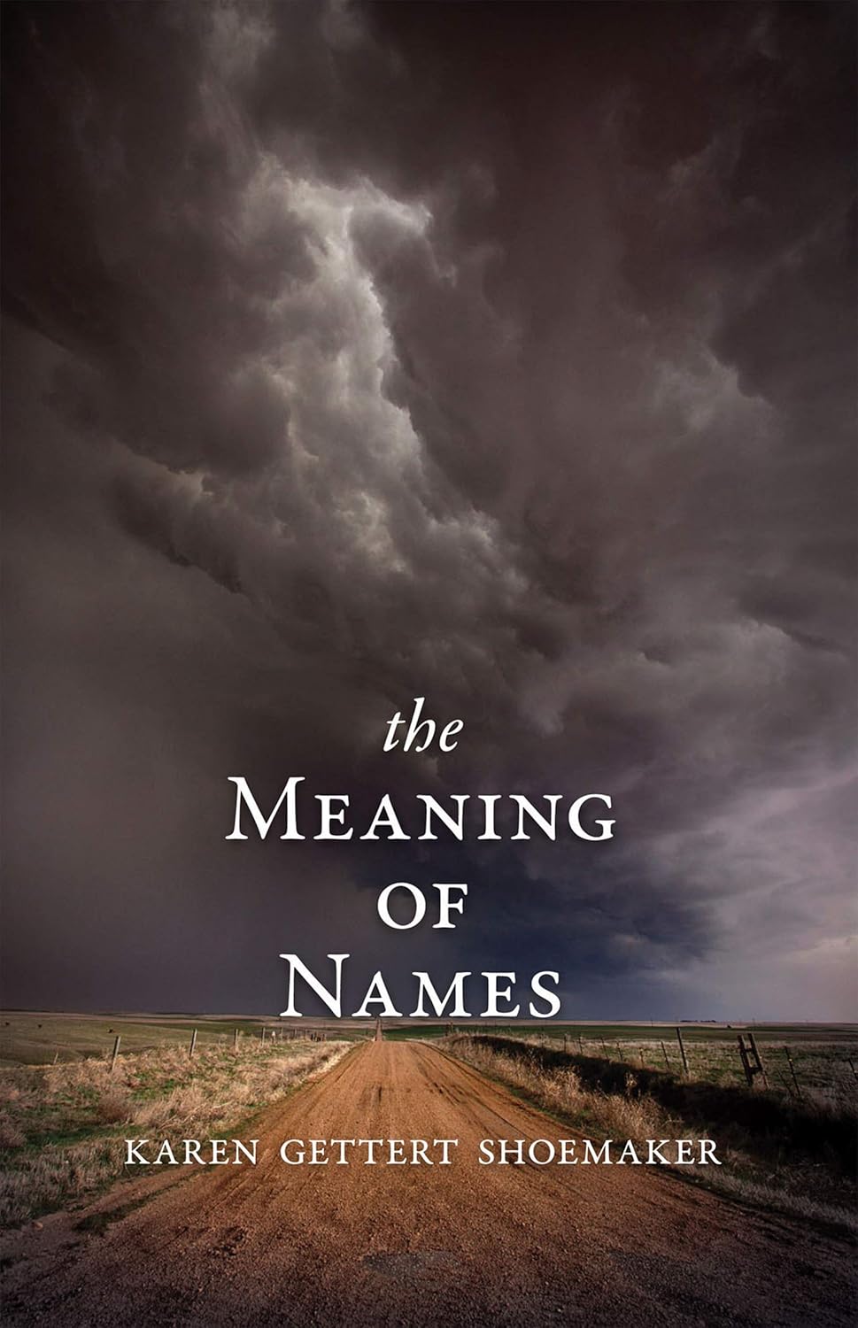 Amazon.com: The Meaning of Names: 9781597099592: Shoemaker, Karen: Books