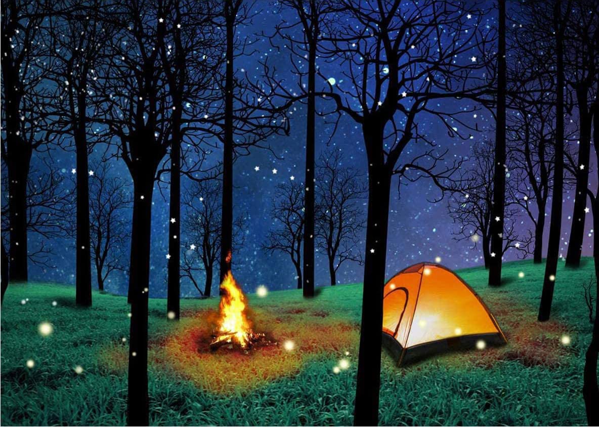 Camping In The Woods At Night
