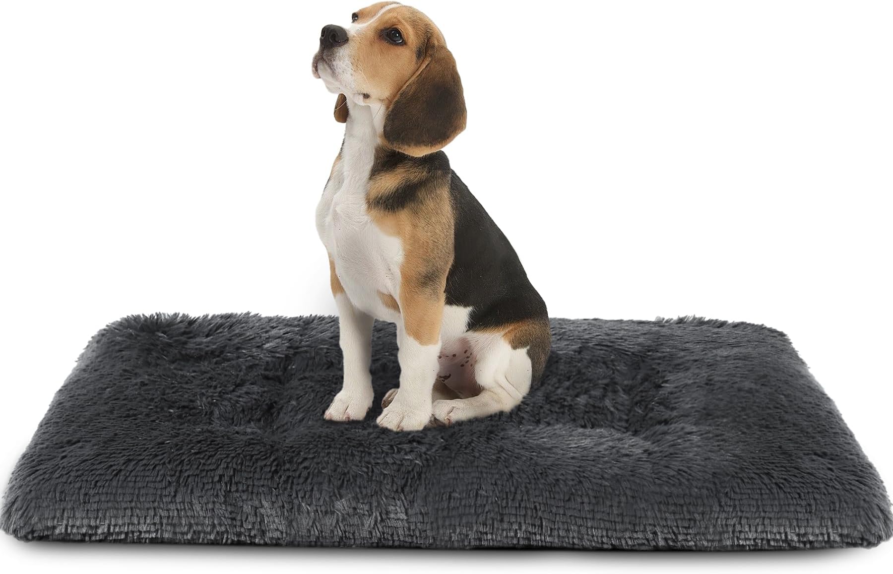 Amazon.com : Dog Crate Pad Cat Mats Deluxe Rose Plush Pad,Washable ...