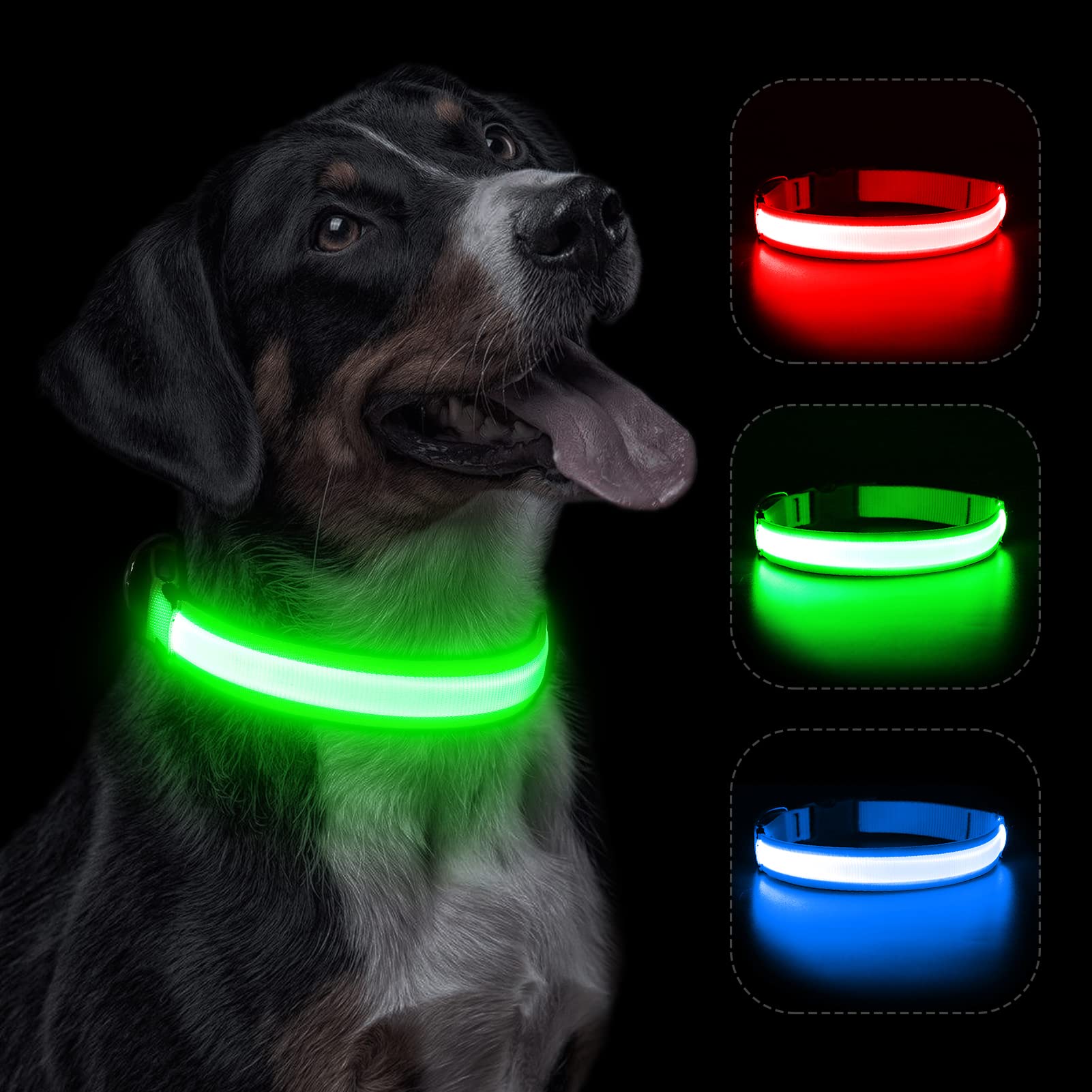 Son Seguros Los Collares De Perro Led