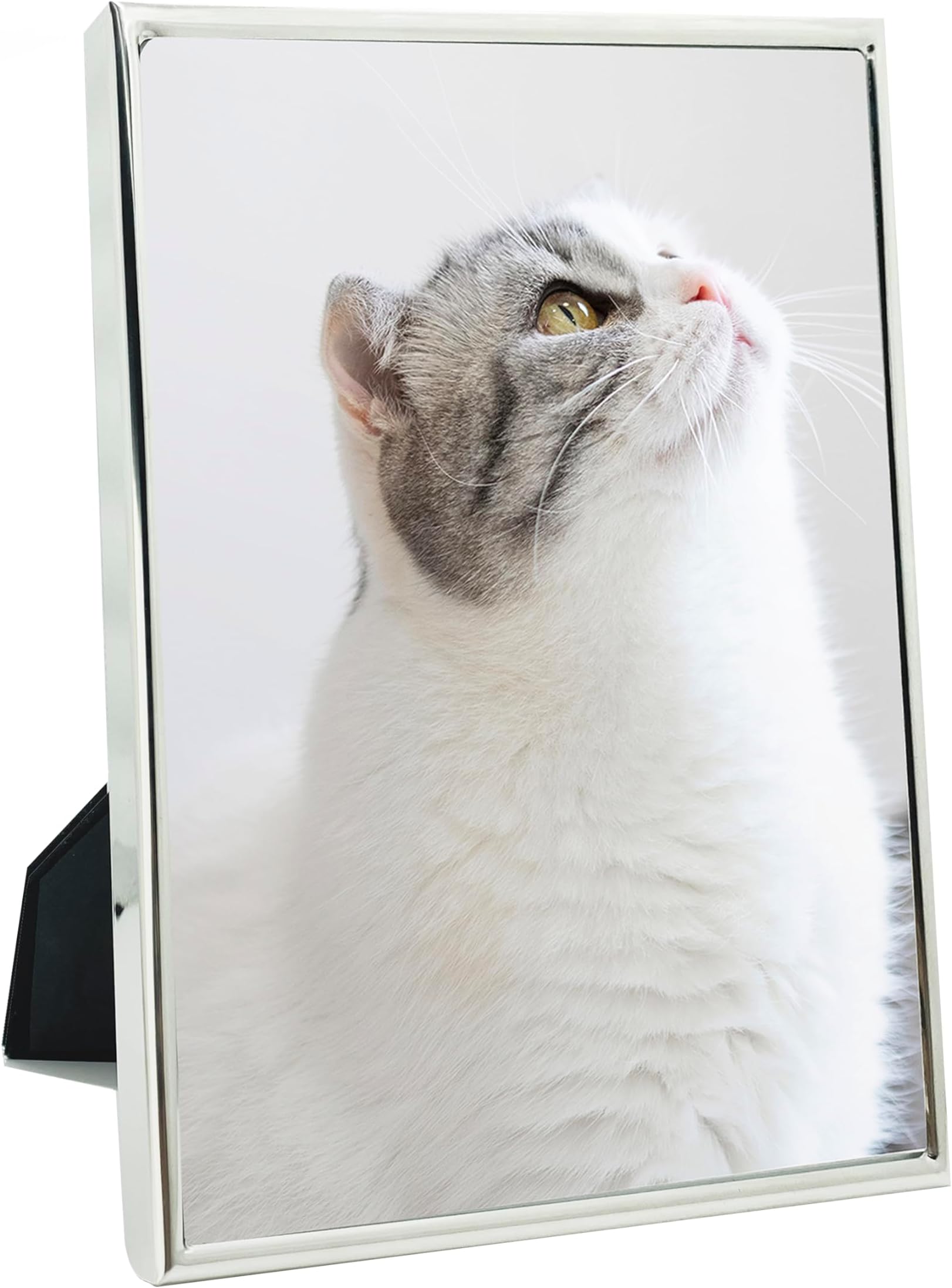 Amazon.com - Laura Ashley 5x7 Silver Flat Metal Picture Frame (Vertical ...