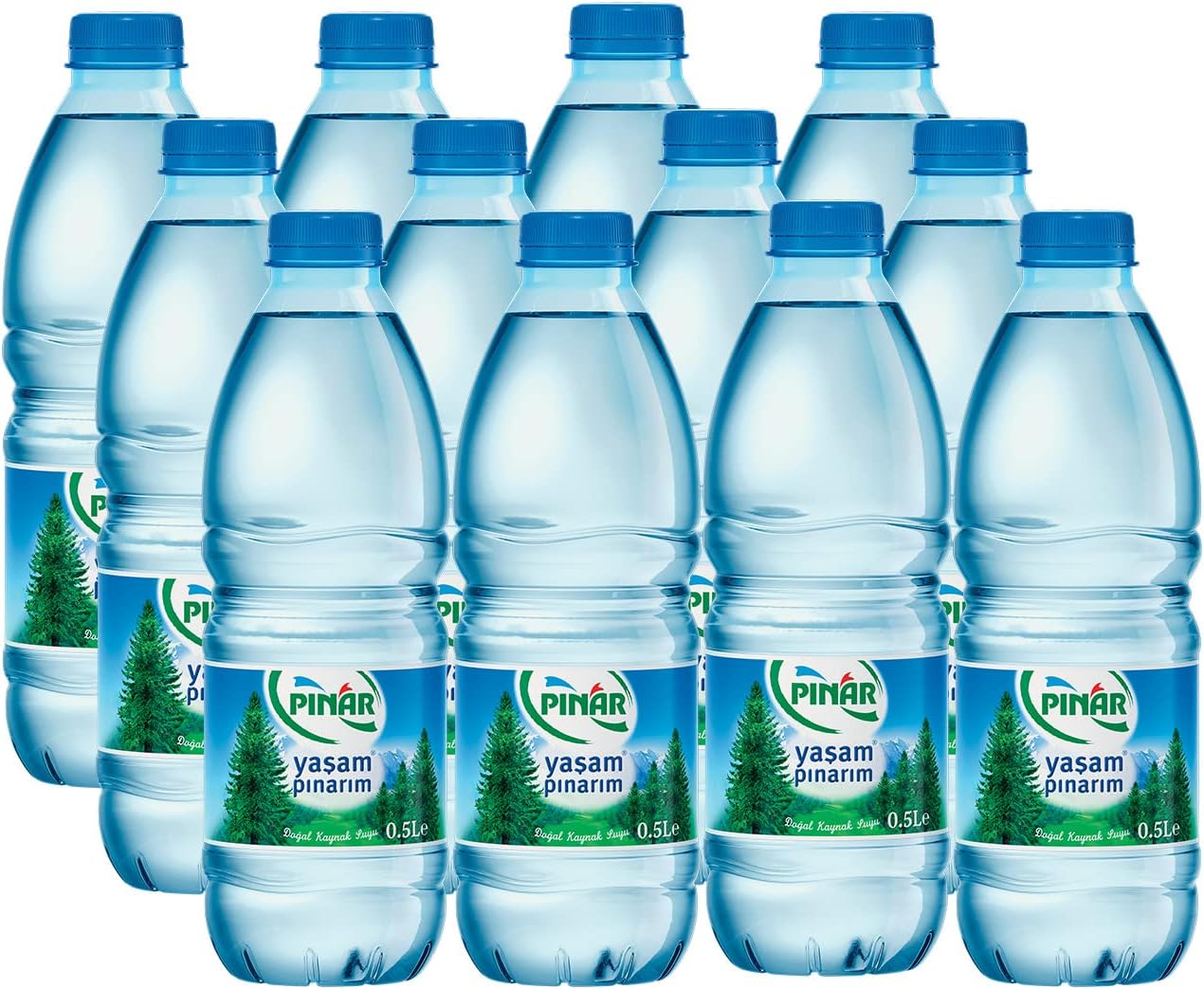 Pinar Natural Mineral Water 500 ml, 24-Pack : Amazon.ae: Grocery