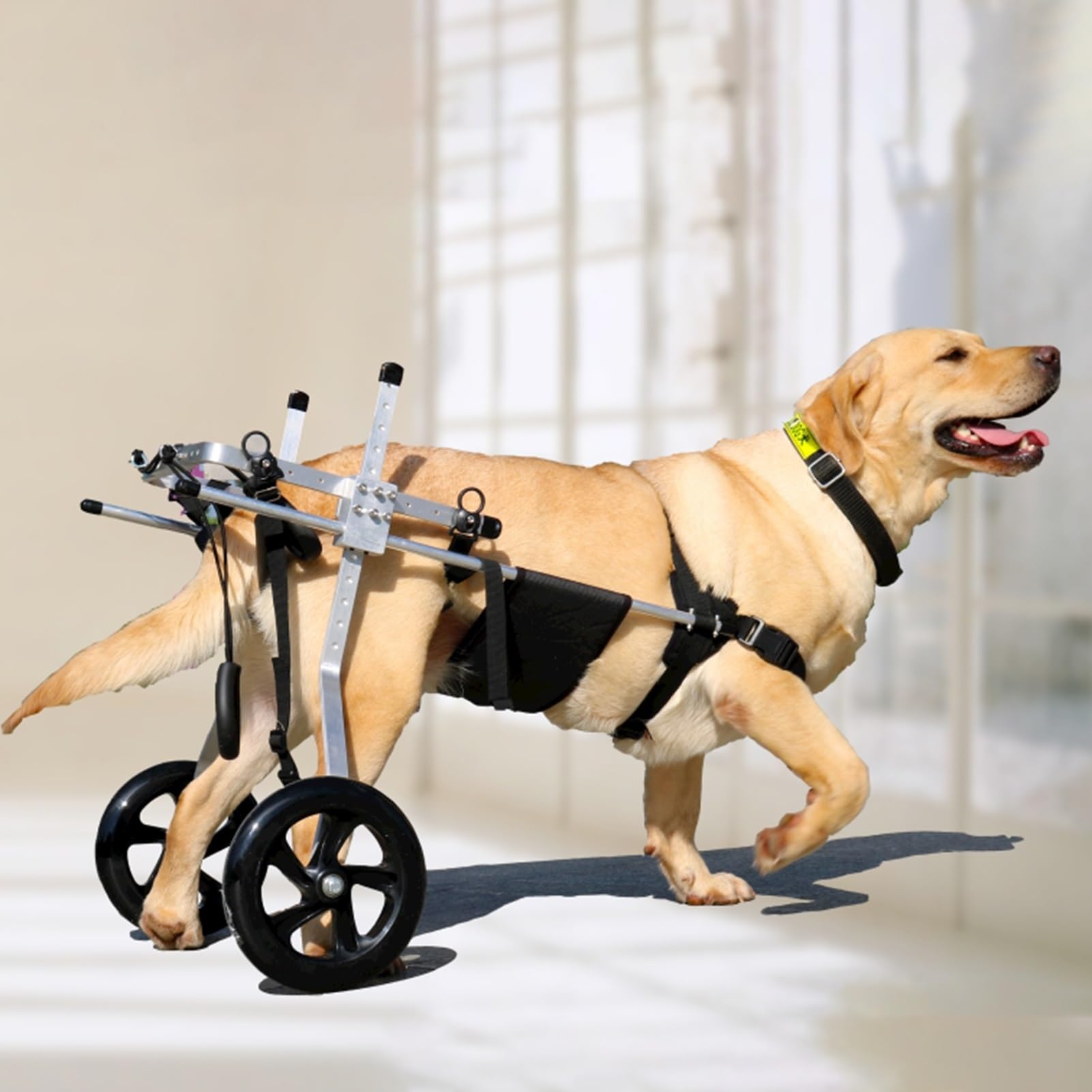 Adjustable Pet Mobility Aid Adjustable Dog Wheelchair For Back Legs ...